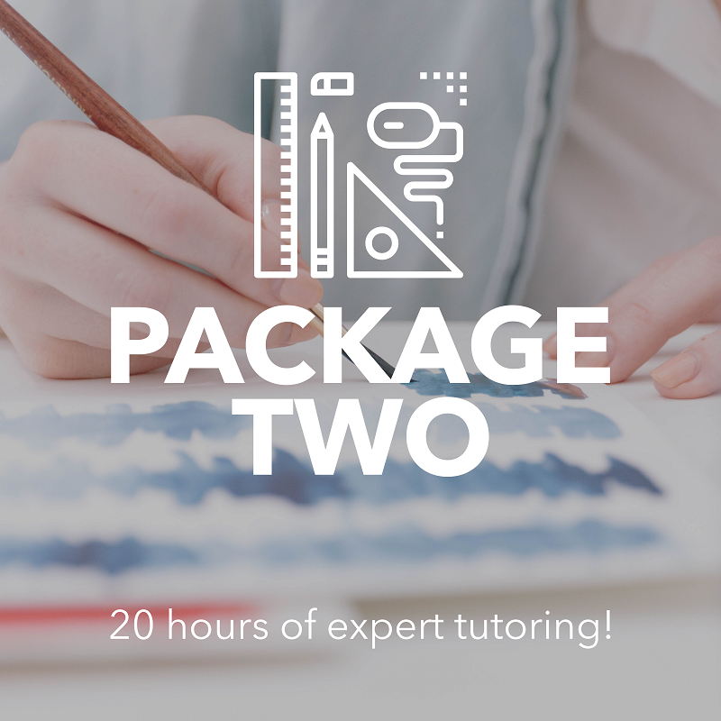 Learning Options – Your own personal expert tutor